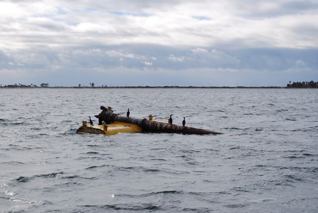Floating Objects in the South Bay on Our Trip to Point Loma Marina