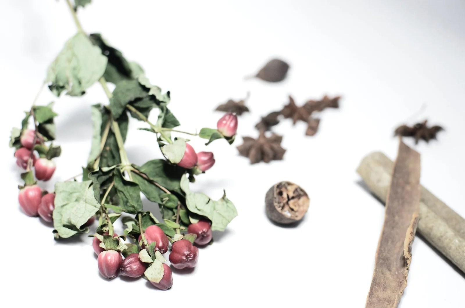 Selenium Webdriver Tutorial Webdrivermanager New Way To Handle Driver Binaries In Selenium