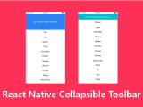React Native Collapsible Toolbar With Animation About React