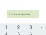 Example To Get Only Numeric Value From Textinput About React