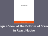 Example To Align A View At The Bottom Of Screen In React Native