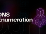 Dns Enumeration And Subdomain Discovery Subverted Academy