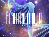 Decoding The Dna Barcoding Understanding Nature S Barcode Acebioscience