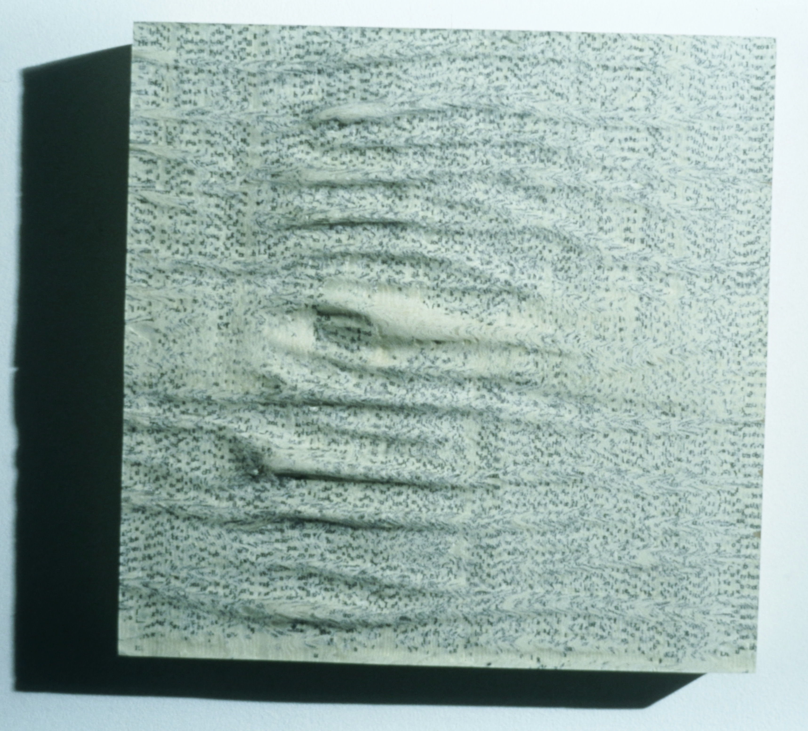 Shred - ANGELA INGLIS