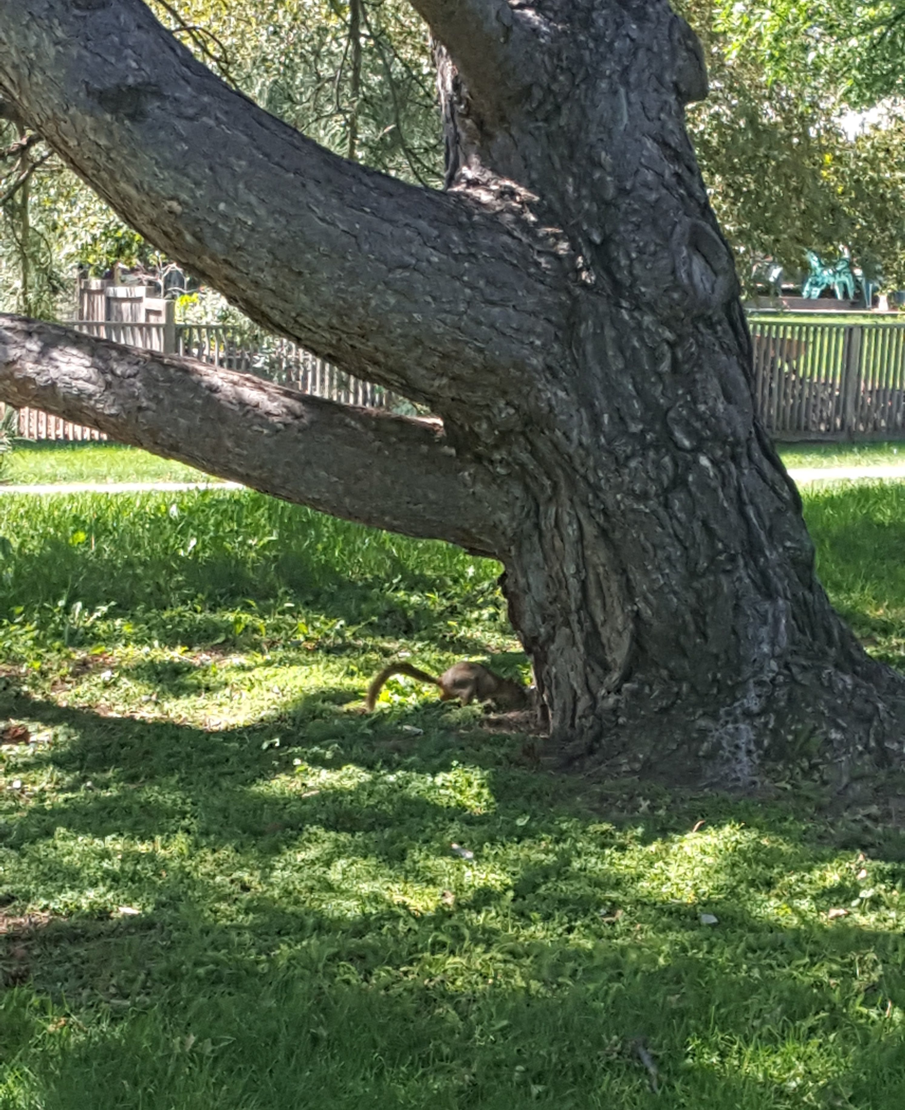 How Watching a Solar Eclipse with Toddlers Actually Went Down - A ...