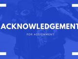 Example Of Acknowledgement For Individual Assignment Acknowledgement