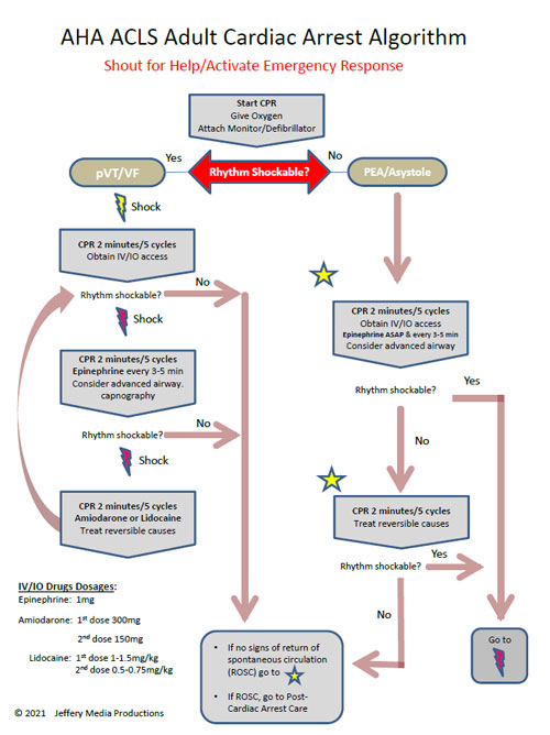 Asystole and its treatment | ACLS-Algorithms.com