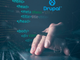 Drupal Development Services Hire Best Drupal Developer Acmasoft