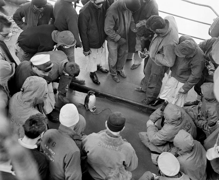 As It Happened | Operation Highjump | A Continuous Lean.