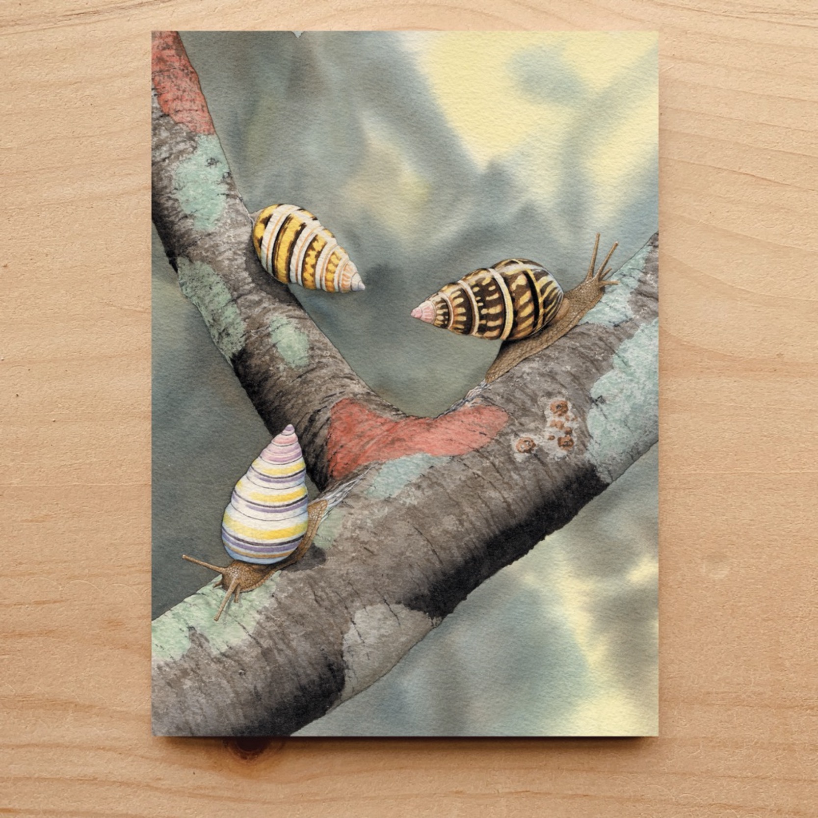 Florida Tree Snail Notecard