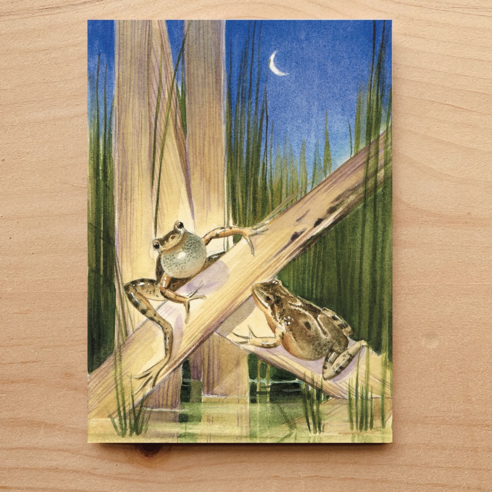 Spring Peepers Notecard