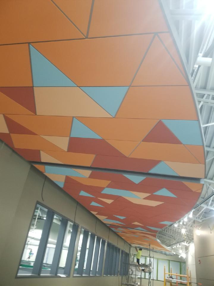 Standard Acoustics – Acoustical Design Inc