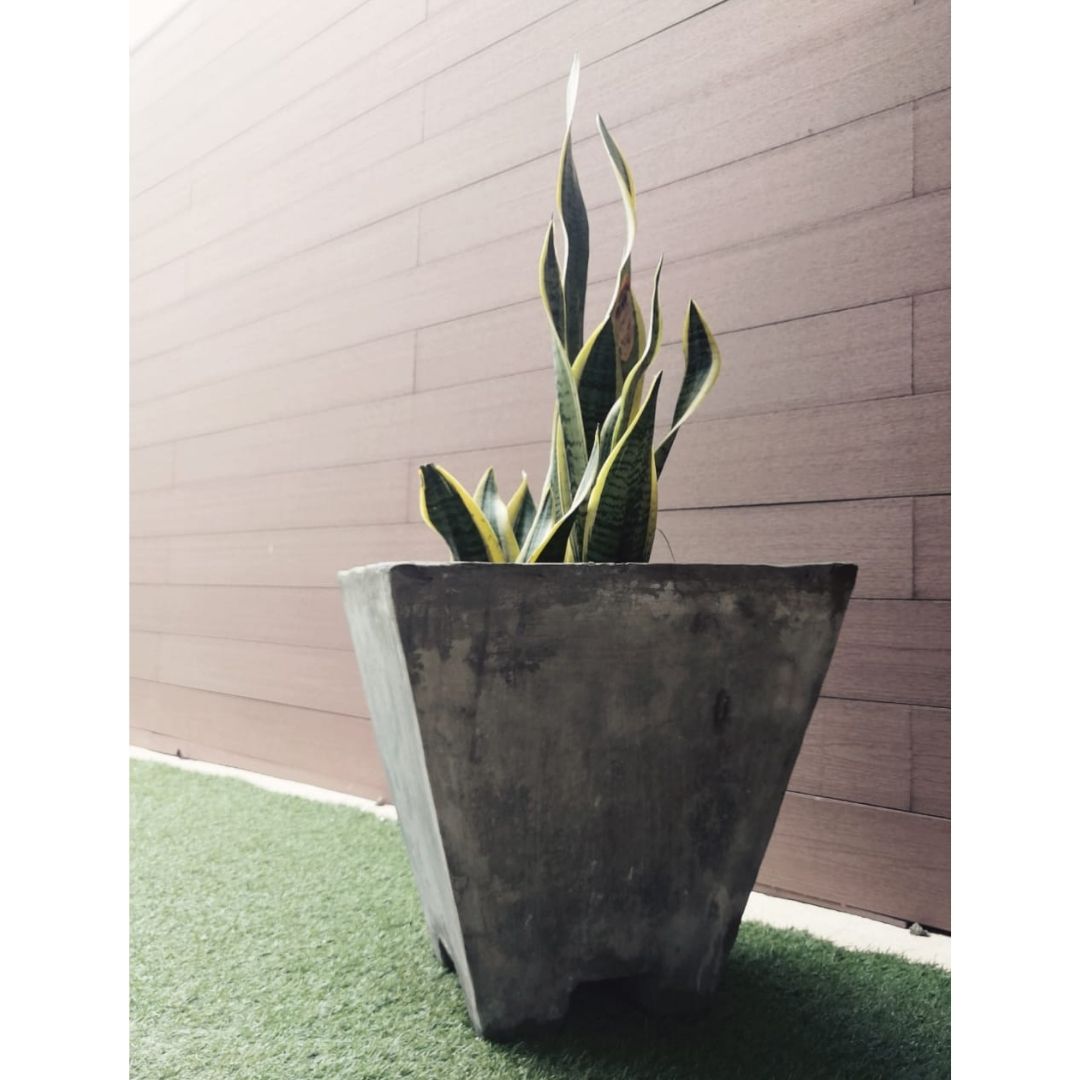 Macetero Cónico - ADECOMSA: Adornos de Concreto y Más