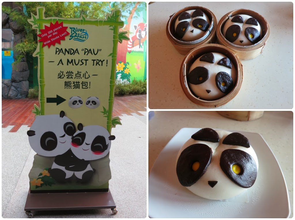 River Safari: Pandas in Singapore - A Deecoded Life