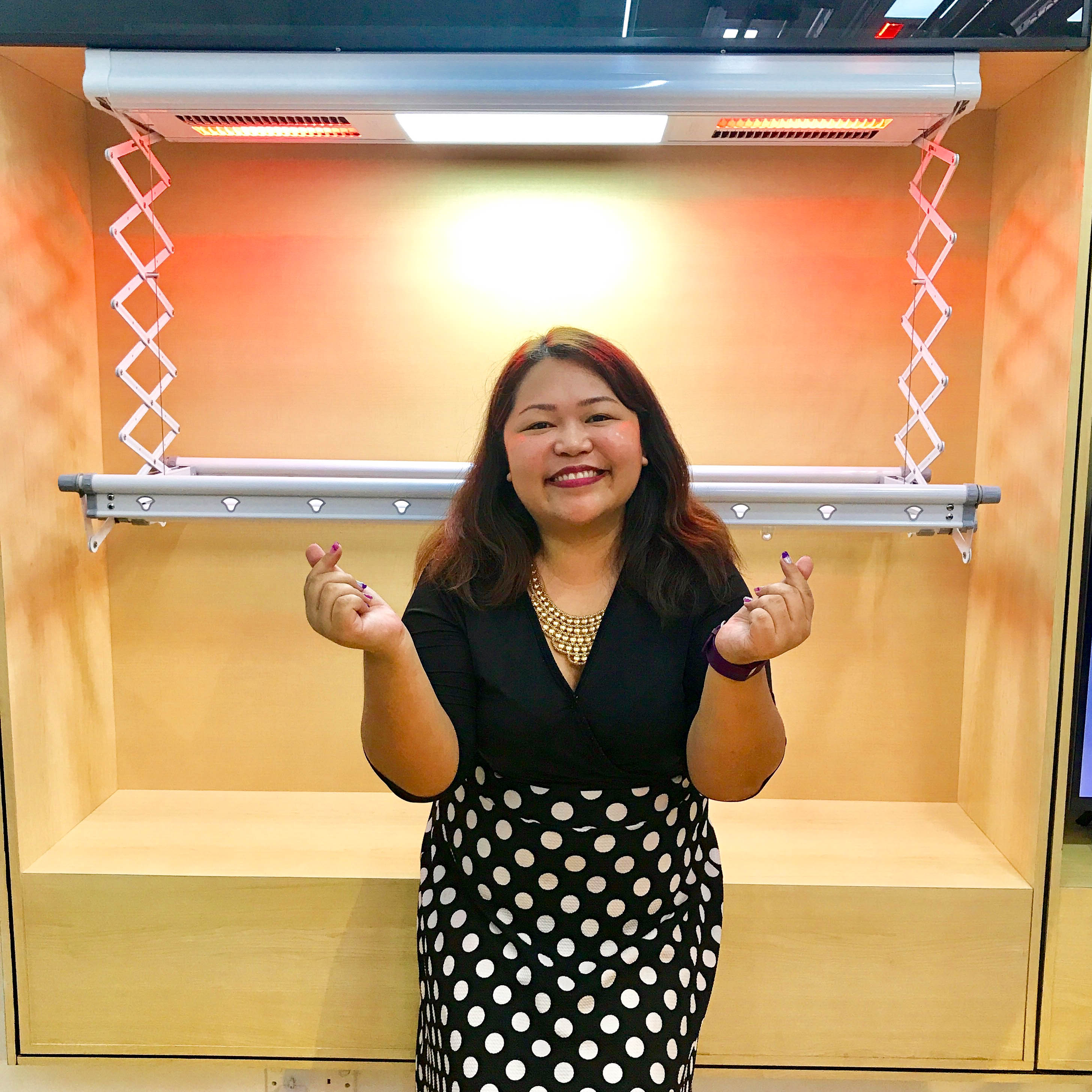 Steigen Automatic Laundry System - A Deecoded Life