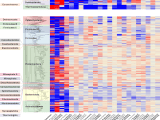 Bioinformatic Meta Analyses Steen Lab