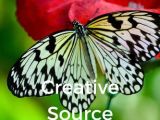Creative Source