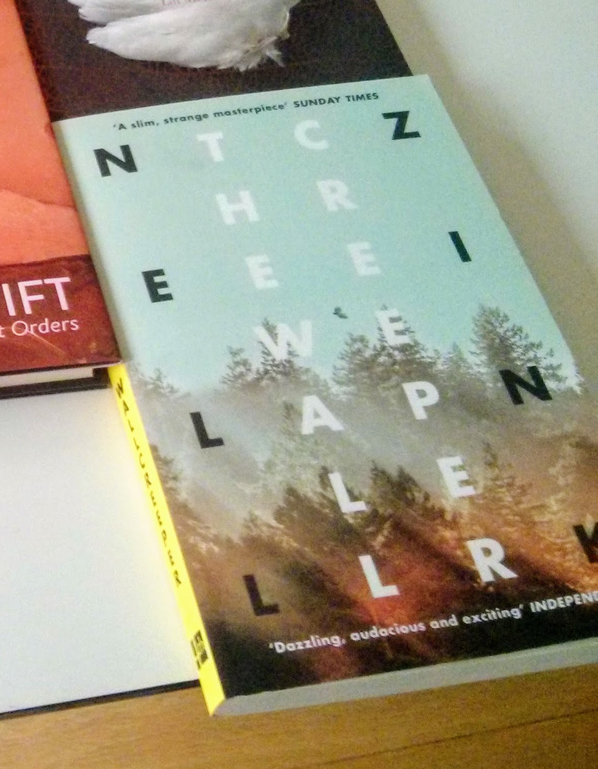 The Wallcreeper – Nell Zink | A Fiction Habit