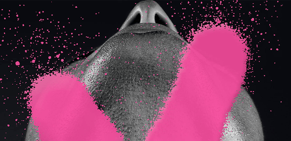 Book Review: Bath Haus by P.J. Vernon – AFPL Journal