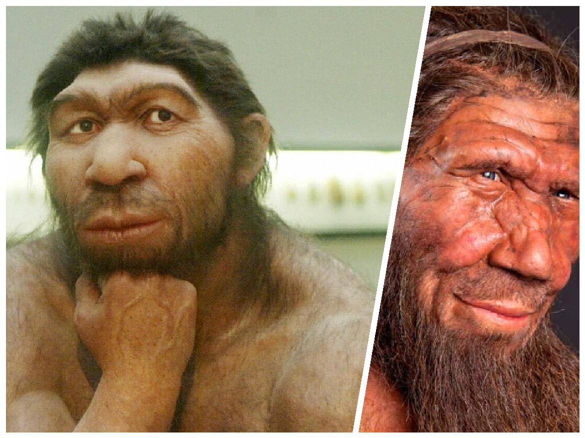 Recent discoveries that lift the veil of mystery over Neanderthals ...
