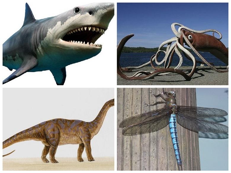 Giant animals in the history of the earth – Afrinik