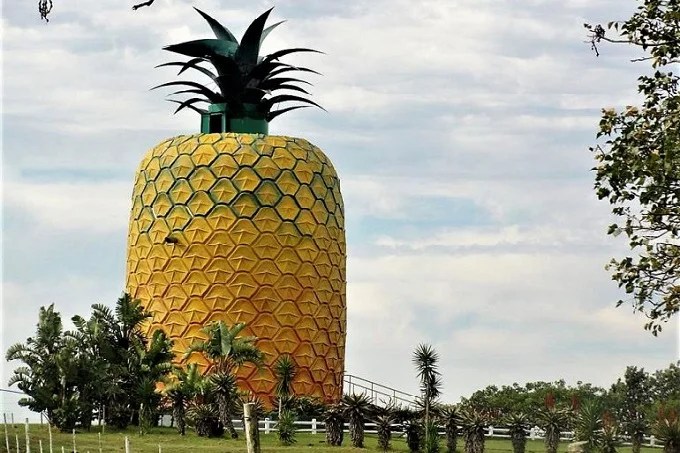 The giant pineapple house in South Africa – Afrinik