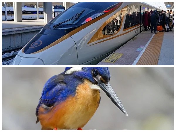 8 inventions inspired by nature – Afrinik