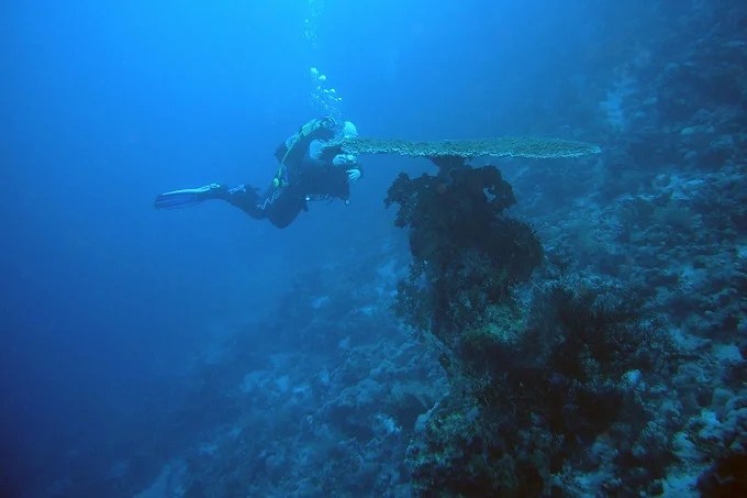 What are the secrets oceans hide from us? – Afrinik