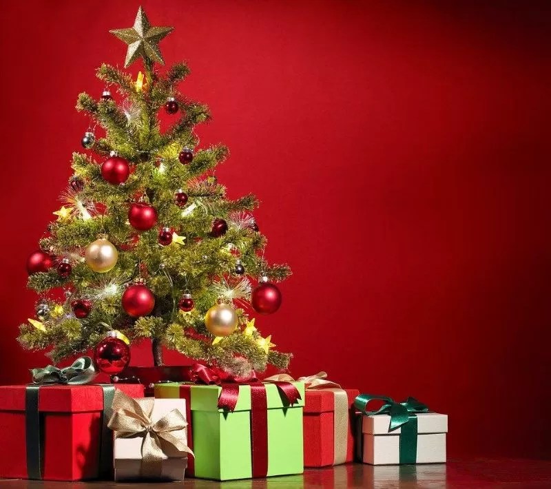 18 Fun Christmas Facts: T'is The Season | Afrolady