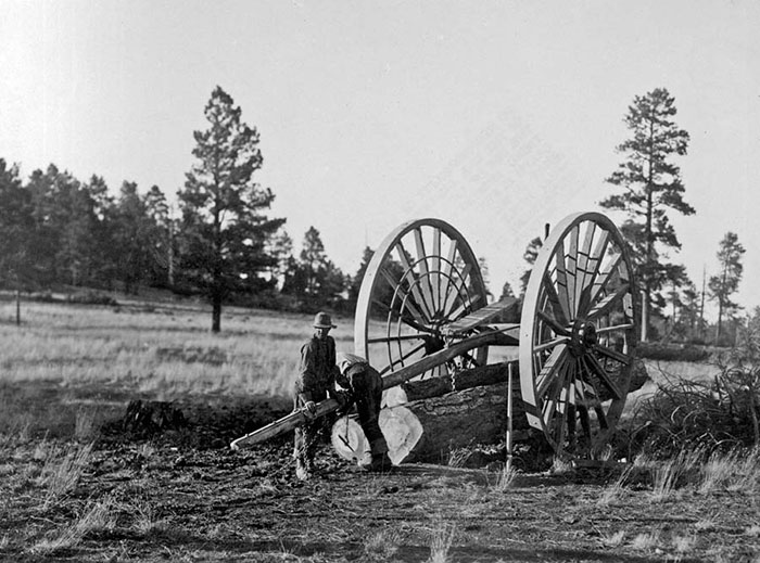 History’s Gem of the Month: Logging Era Photos – Gitche Gumee Agate and ...