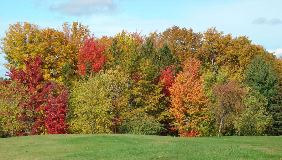 CURRENT GRAND MARAIS SCENES: October 2008 – Gitche Gumee Agate and ...