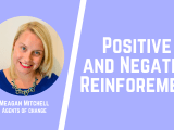 Conquering Positive And Negative Reinforcement Concepts On The Aswb