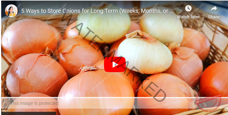 [5 Ways] How To Preserve Onions For Long Time Storage - Agrolearner.com