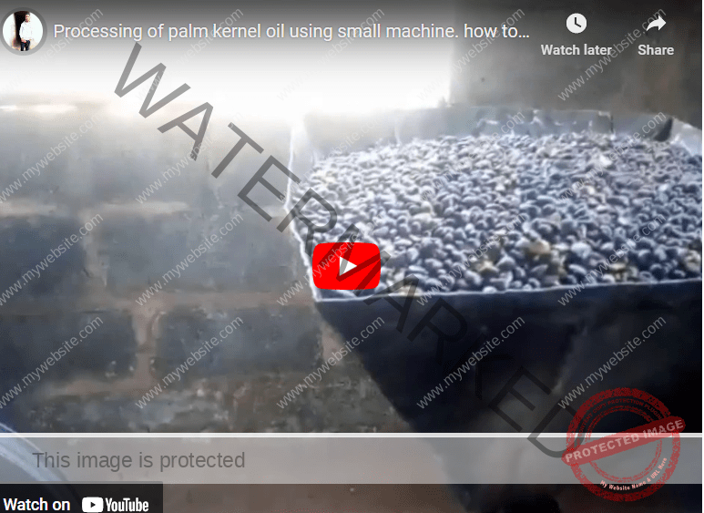 [Beginners Guide] How To Process Palm Kernel Oil - Agrolearner.com