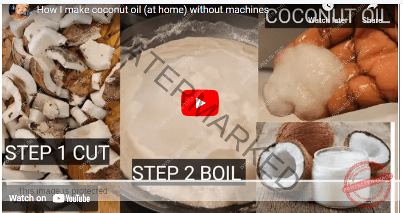 [Beginners Guide] How To Process Coconut Oil - Agrolearner.com