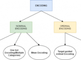 Different Types Of Encoding Ai Ml Analytics