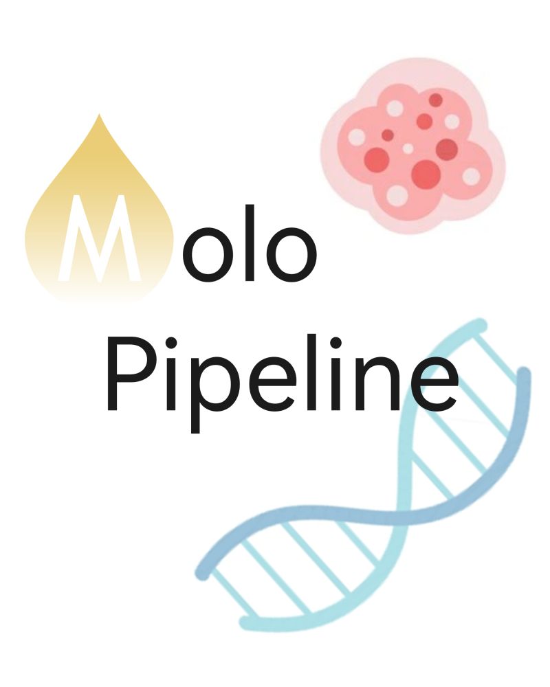 Molo News Github - Download Elegant City Pattern | Mobile