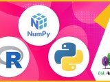 Full Stack Data Science With Python Numpy And R Programming