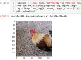 Image Classification Aicodeschool
