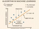 Top 10 Machine Learning Algorithms To Master In 2026