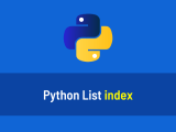 Python List Index Aihints