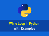 While Loop In Python With Examples Aihints