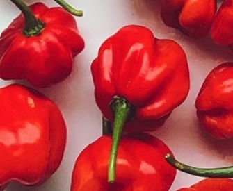 Hāmākua Heirloom Peppers (sweet) - Aina Exotics