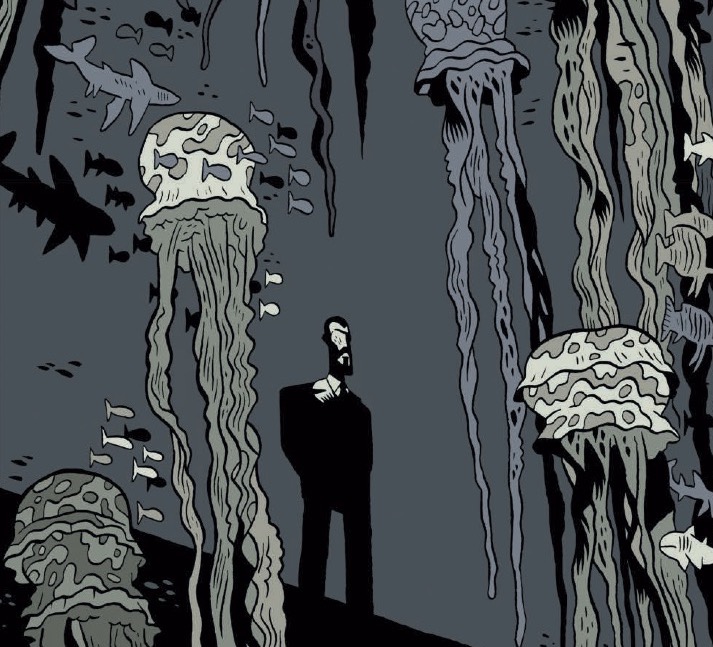 [EXCLUSIVE] IDW Preview: Nemo HC • AIPT