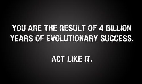 So, about that "result of successful evolution" meme • AIPT