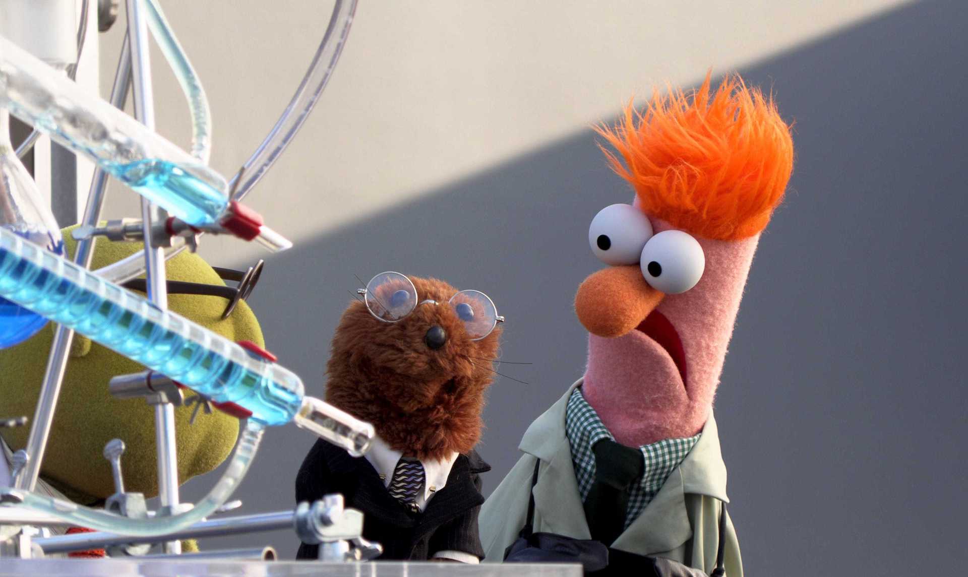 Disney+ First Look: 'Muppets Now' gets a trailer and new stills • AIPT