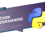 Python Programming Level 1 Aiq