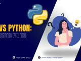Java Vs Python Which One Is Better For The Future