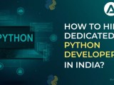 How To Hire Dedicated Python Developers In India