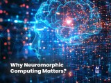 Neuromorphic Computing